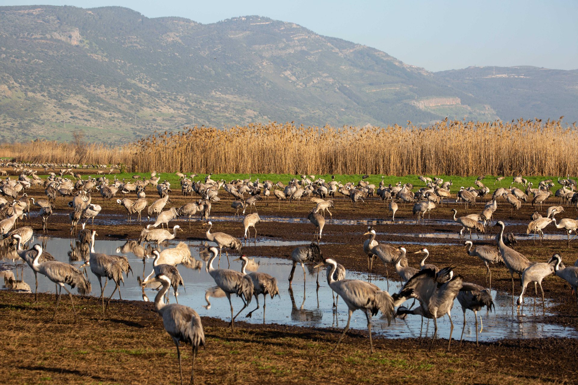 Landscapes of Israel - Ella Waldman - Photographer
